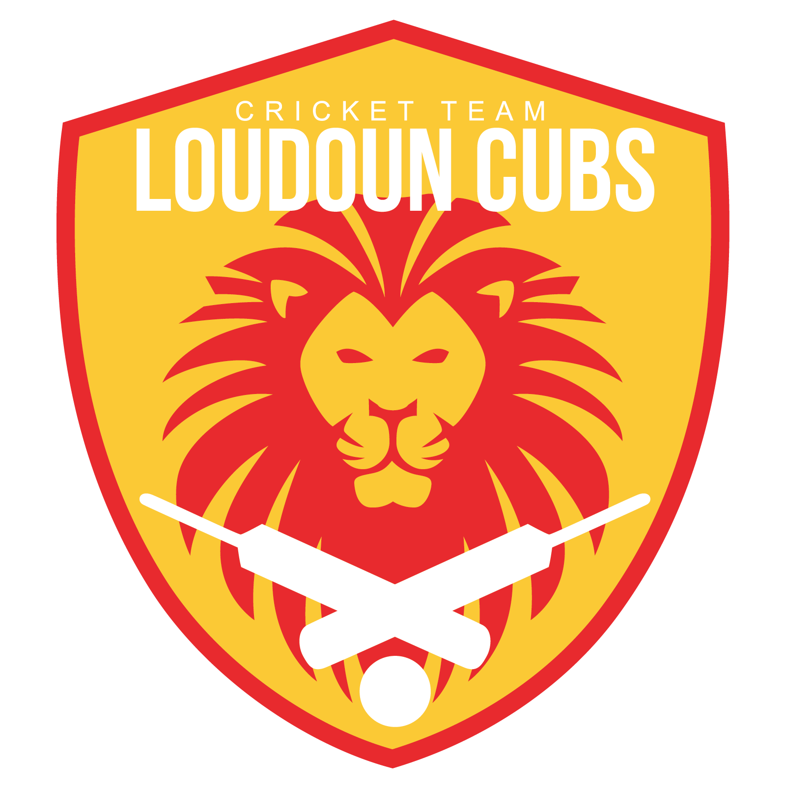 High Performance Program Q1 2025 | Loudoun Cubs Cricket Academy